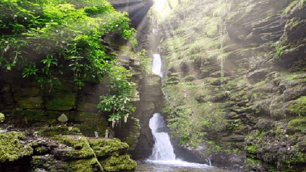 Cornish waterfall named on top list | voicenewspapers.co.uk