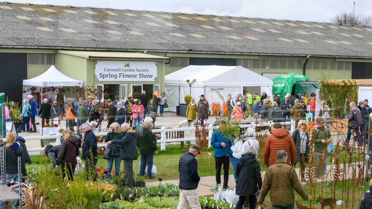 GALLERY: 2023 Cornwall Spring Flower Show was blooming marvellous ...