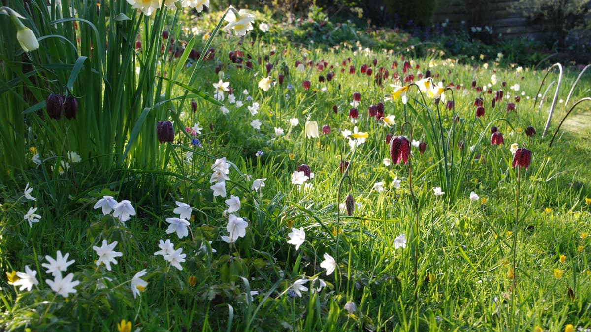 Artists heads to gardens for charity cause | voicenewspapers.co.uk