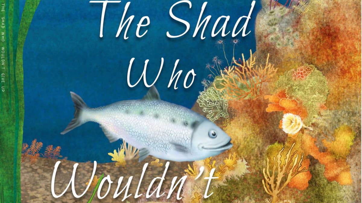 New children’s book about rare River Tamar fish released ...