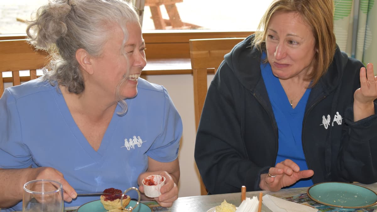 People being encouraged to tuck in on National Cream Tea Day for ...