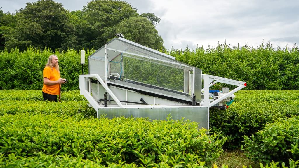 UK’s first robot tea harvester showcased in Cornwall | voicenewspapers ...
