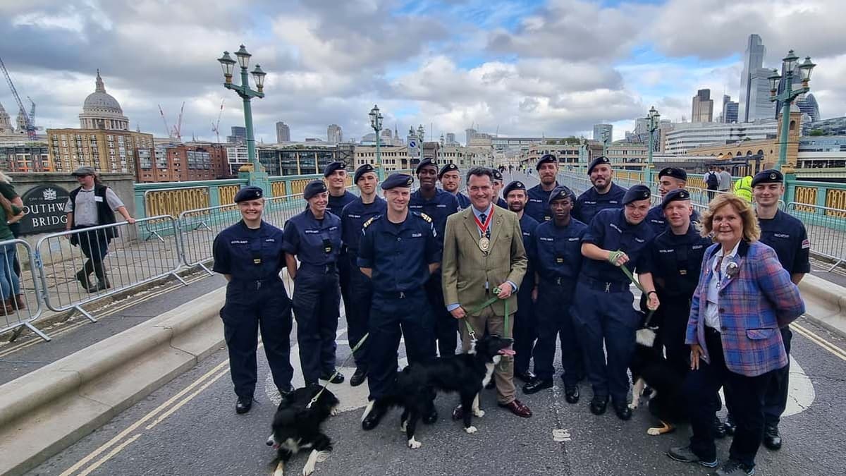 Cornish navy recruits help herd sheep in London | voicenewspapers.co.uk
