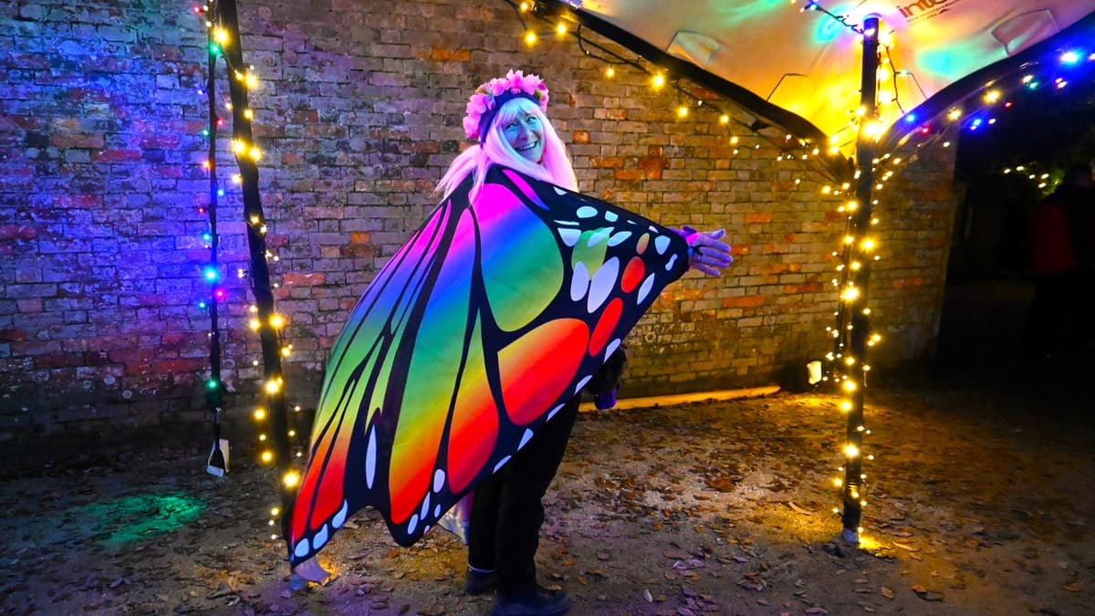 Moonlight Memory Walk set to raise £35,000 | voicenewspapers.co.uk