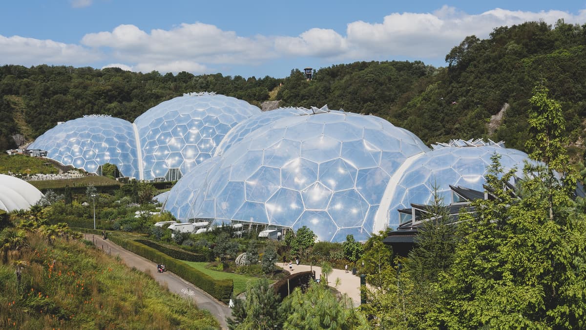 Eden Project announces new nature-themed group activities ...
