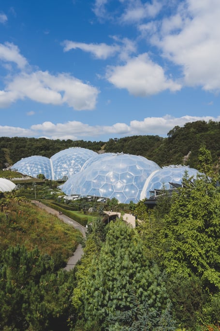 Eden Project announces new nature-themed group activities ...