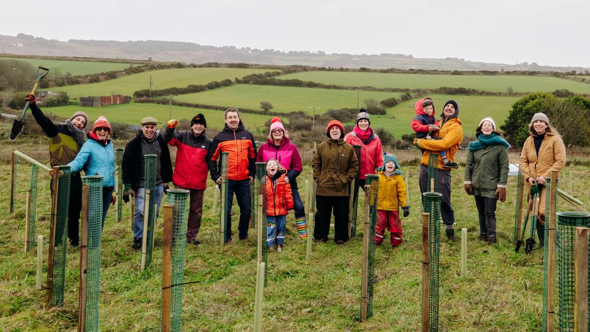 Architects plant 400 trees to help reforest local countryside ...
