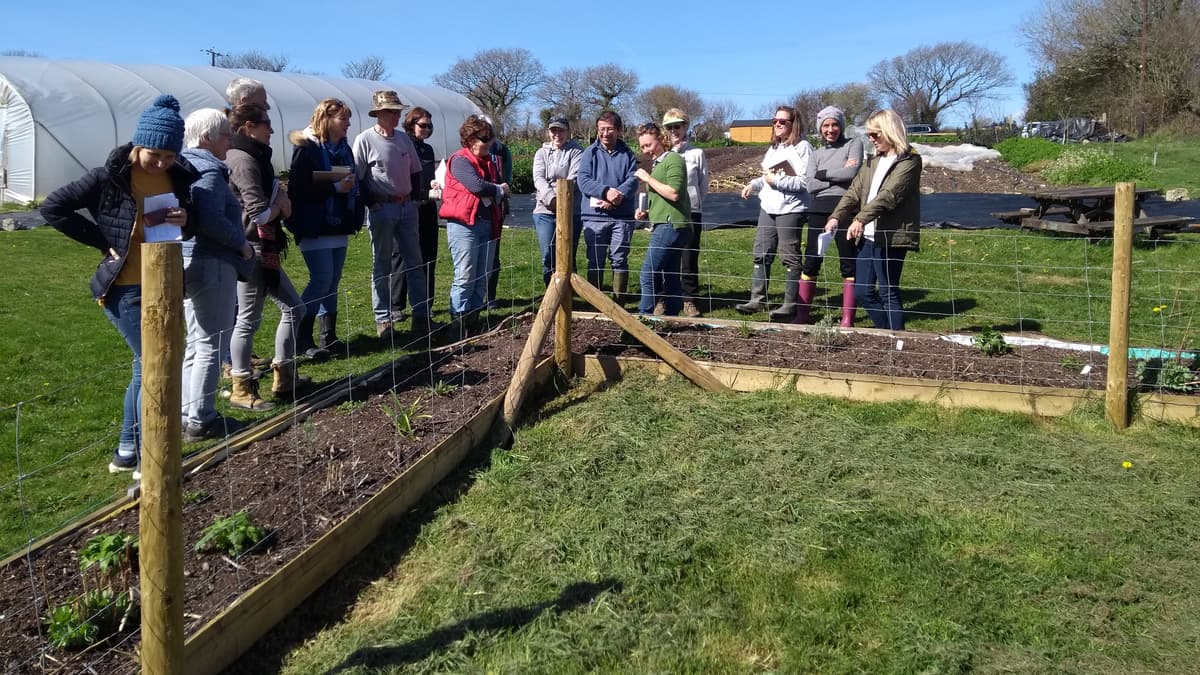 Grow your own with farming workshops set to launch | voicenewspapers.co.uk