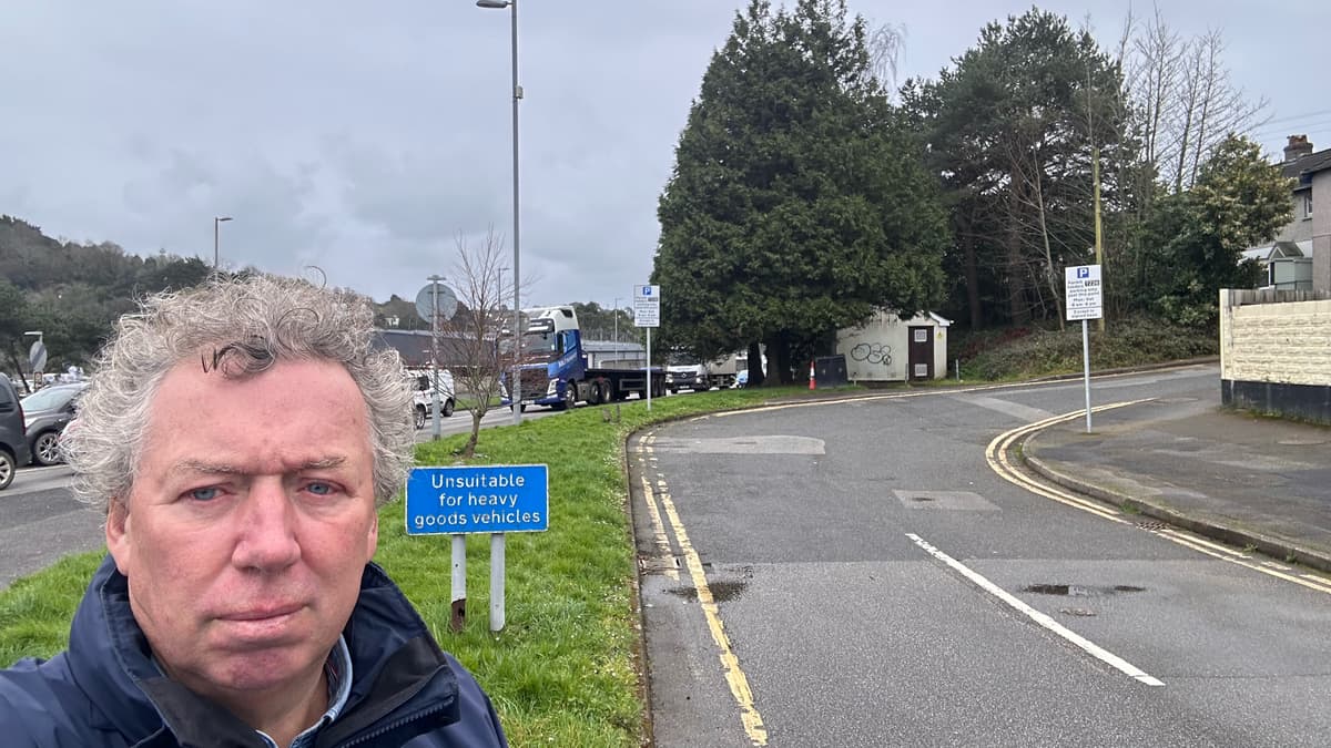 Truro councillor says Save Our Trees | voicenewspapers.co.uk