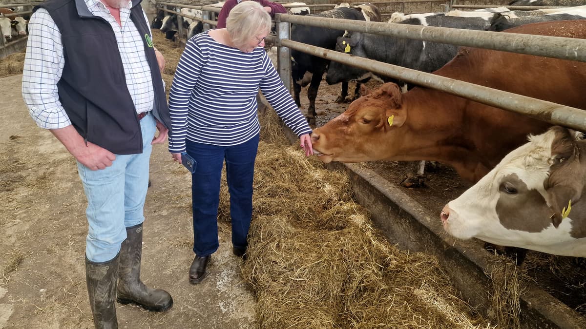 Sheryll Murray: Farmers are still facing increased costs Murray ...