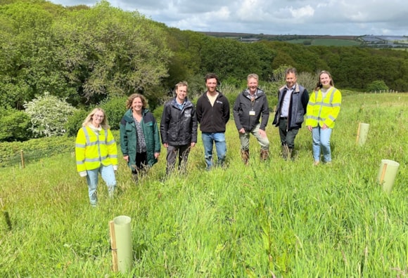 Funding to drive green improvements across Cornish landscape ...