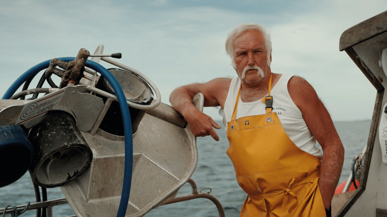 Phil Trebilcock: Harbour view | voicenewspapers.co.uk