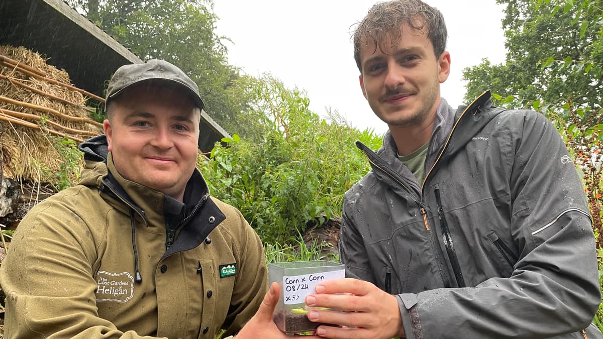 Tourist attraction in Cornwall hoping to give glow-worms a brighter ...
