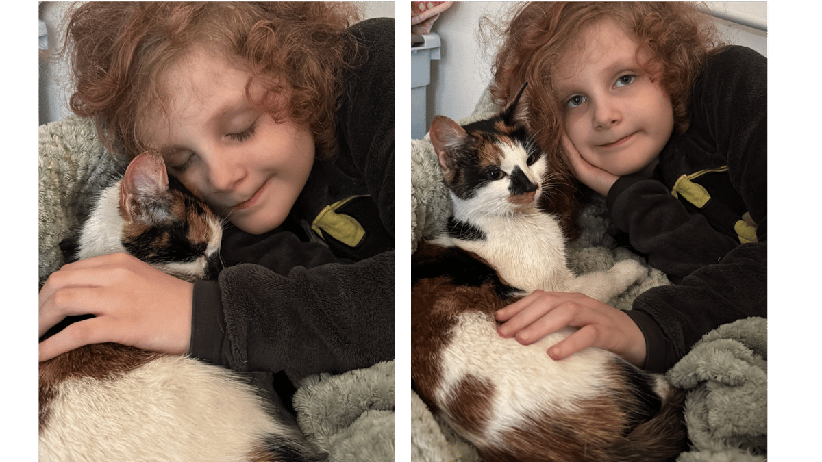 Devastated family of nine-year-old launch plea for return of his 'best ...