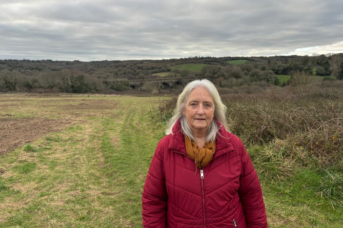 Tears at loss of fields for 274 homes | voicenewspapers.co.uk