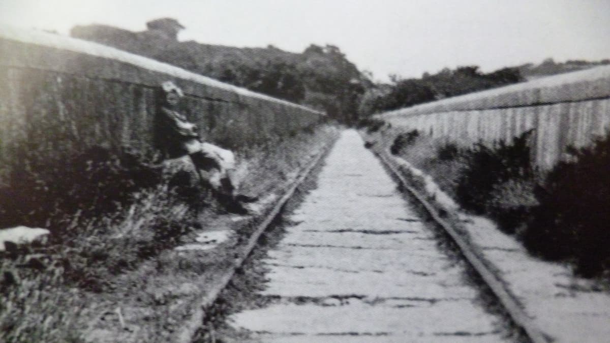Barrie Doney's Cornwall: The vast historic viaduct on the Treffry ...