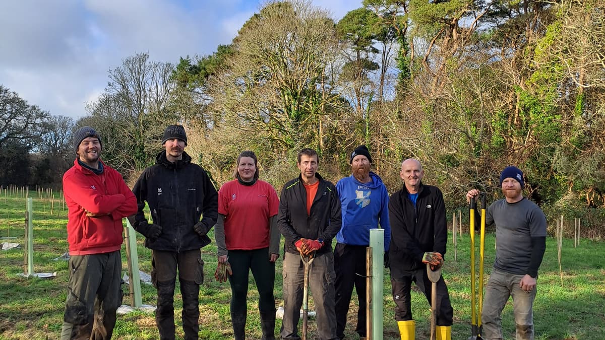 Volunteers plant 800 trees near Godolphin to help tackle climate change ...