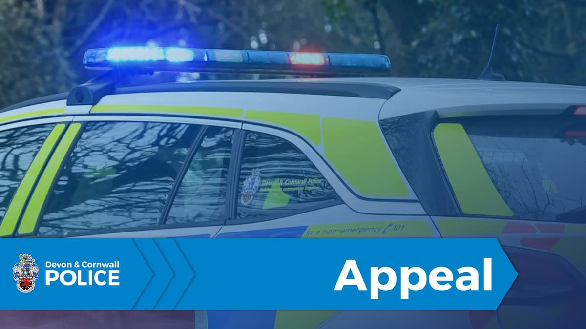 Police launch manhunt after car rams officers and flees scene | voicenewspapers.co.uk