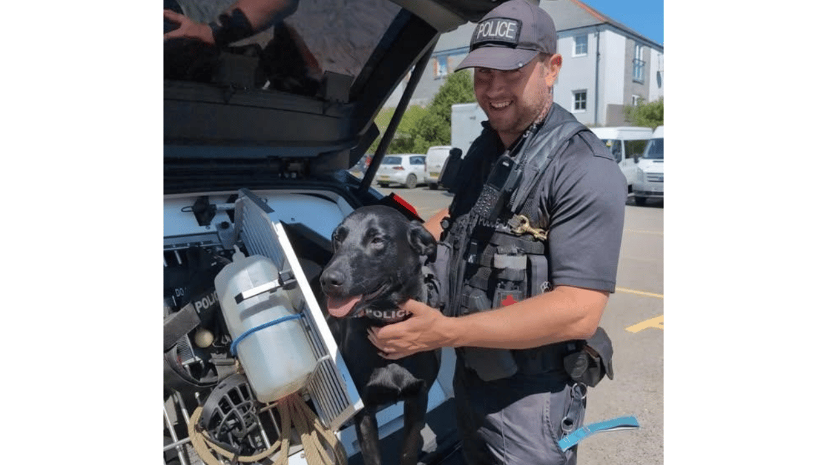 Drug dog Jasper visits local schools to deter illegal drug use ...