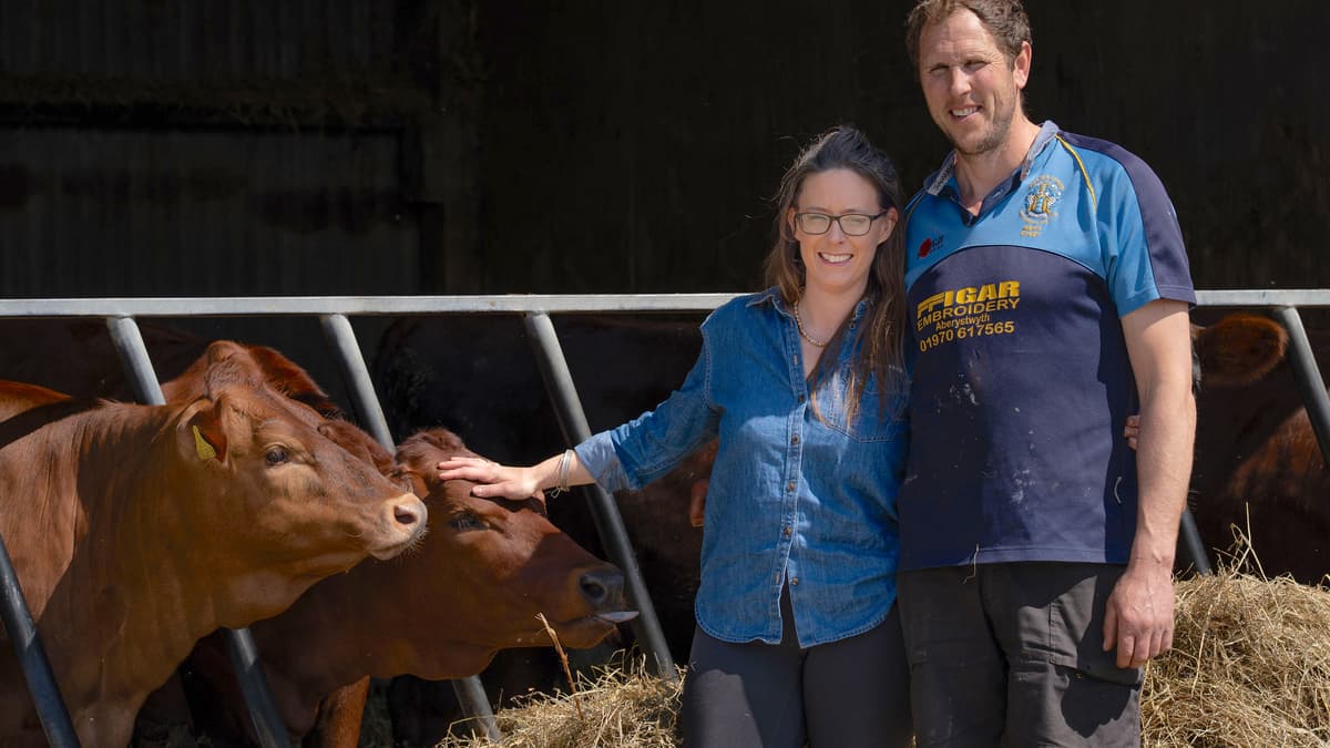 Sustainable farm near St Austell reports surge in meat sales ...