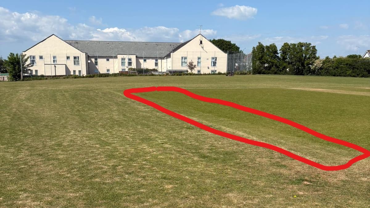 Town Council supports plans for new artificial cricket wicket ...