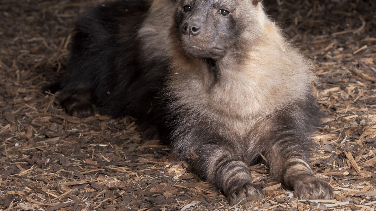 Ari kytsya riding i was searching to connect with a person