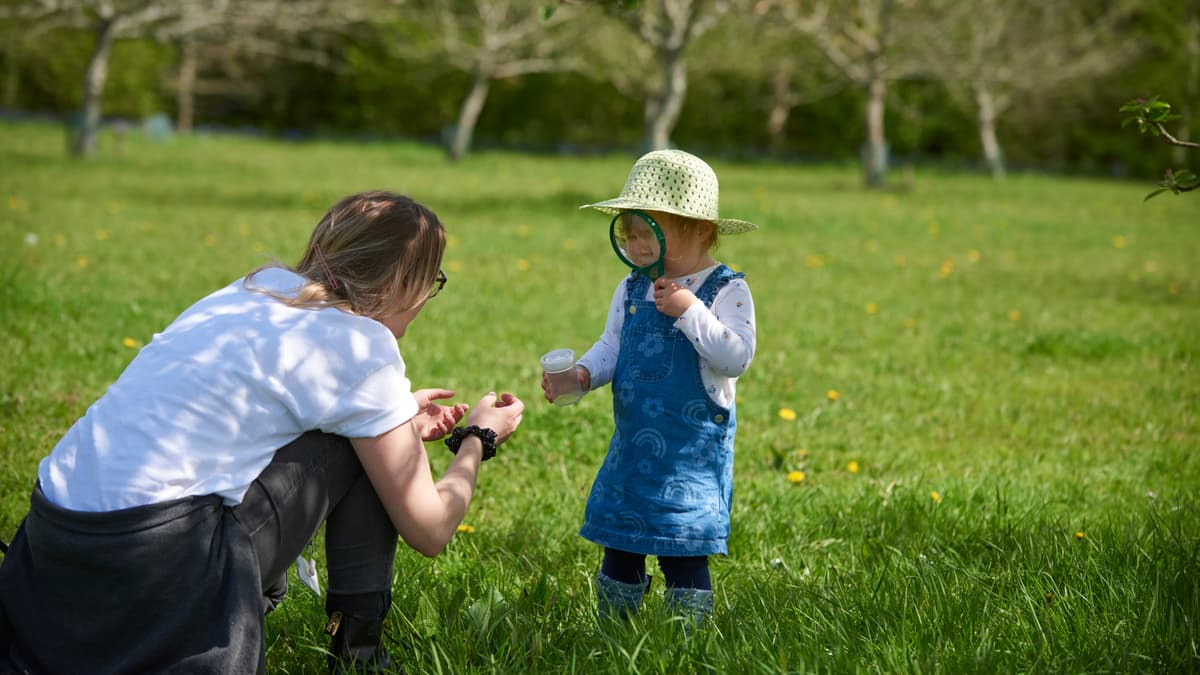 Spring blossoms across the South West as National Trust launches Big ...